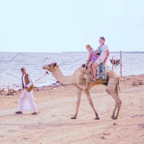 Safari Sharm El Sheikh - Safari Sahara Sharm