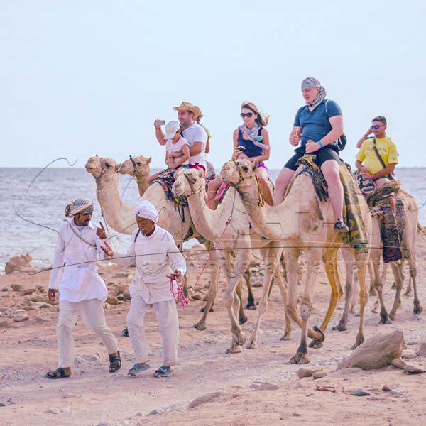 Sharm El Sheikh Desert Trip by Safari Sahara